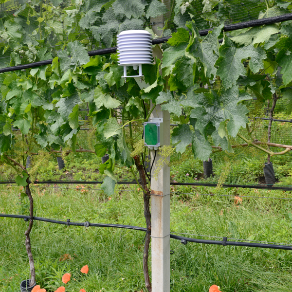 Smart System – ODIS